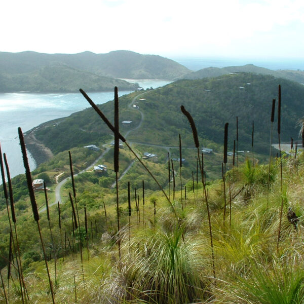 Visit Keswick Island | Everything you need to know about visiting Keswick Island